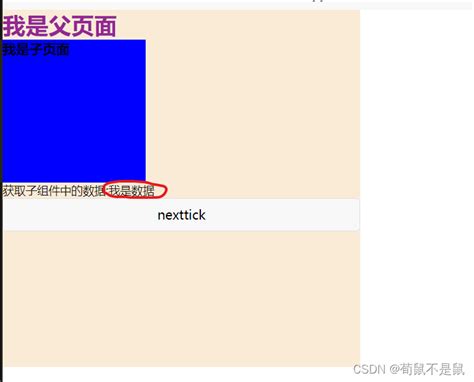 Vue：ref的作用和实例