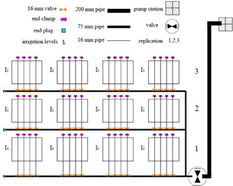 Plot Layout Of Field Experiment For Plants Ta B L E 2 Average And Sum