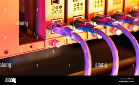 Network Cable Connecting On Network Core Switch Close Up Stock Photo Alamy