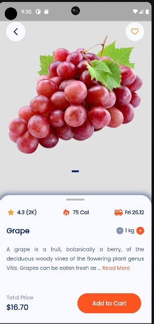 Github Rayat Ullah Grocery App Flutter