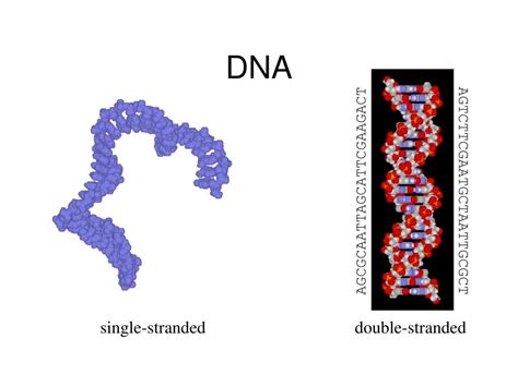Ppt Algorithmic Self Assembly For Nano Scale Fabrication Powerpoint