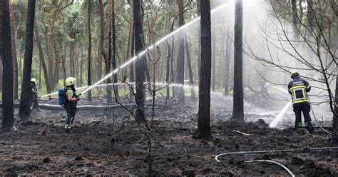 Weer 1 Hectare Bos In Vlammen Opgegaan Mol Hlnbe