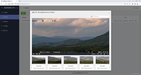 亲测可用：视频智能分析服务软件，行人入侵检测，烟火检测，车型检测，玩手机打电话检测，厨帽检测，抽烟检测等分析算法海康检测玩手机方案 Csdn博客