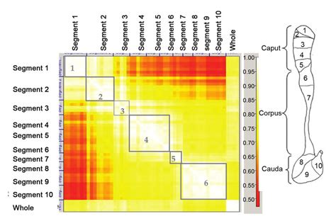 A Two Dimensional Heat Map Illustrating A Principal Component Analysis Download Scientific