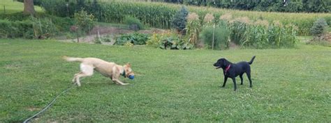 Warmup Vs Workout Lessons From A Lab