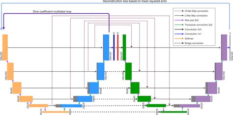 Graphical Representation For The Considered W‐net Network Architecture Download Scientific