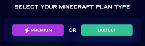 beginner s guide to a bisecthosting minecraft java server