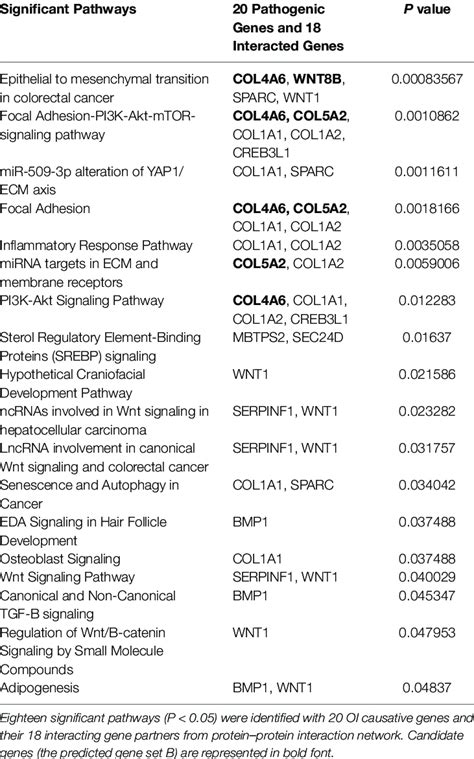 Significant Pathways With Related Pathogenic Genes And Predicted Genes Download Scientific