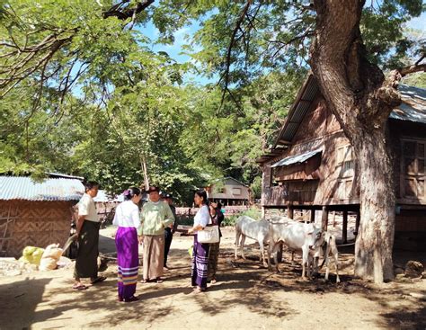 နတ်မောက်မြို့နယ်အတွင်း တိရစ္ဆာန်ကောင်ရေစာရင်း ကောက်ယူရေးလုပ်ငန်း ဖွင့်ပွဲအခမ်းအနားနှင့် တိရစ္ဆာန