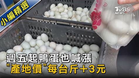 週五起鴨蛋也喊漲 「產地價」每台斤3元｜tvbs新聞tvbsnews02 Youtube