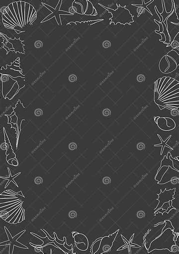 Seashells Outline Frame Vector With Chalk On A Black Board One Line Drawing Of A Shell Stock