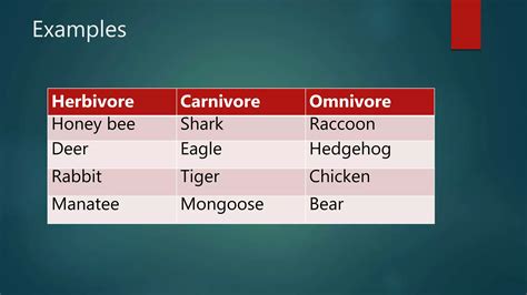 Producers Consumers And Decomposers Pptx