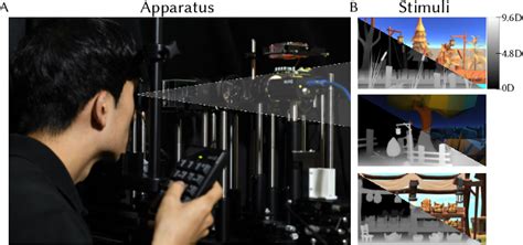 Figure 4 From Holographic Parallax Improves 3d Perceptual Realism Semantic Scholar