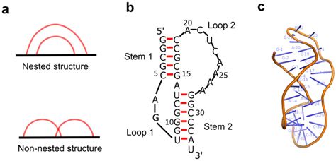 Nested Structures Nested Loops Fastercapital