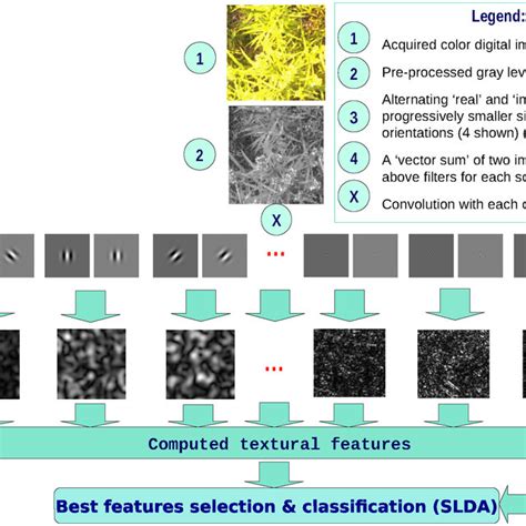 Illustration Of The Gabor Wavelet Based Classification Procedure Download Scientific Diagram
