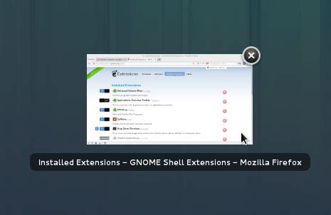 Display Full Window Title GNOME Shell Extensions