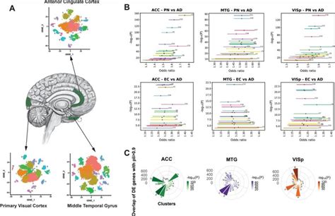 Seyed Ali Safizadeh Shabestari Posted On Linkedin