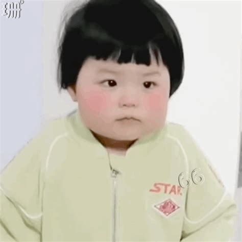表情包 我放弃交流