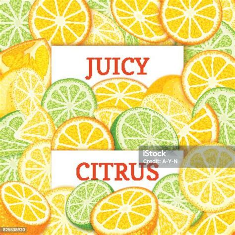 오렌지 라임 레몬 과일 바탕에 두 개의 흰색 사각형 레이블 벡터 카드 그림입니다 열 대 감귤 류와 수 분이 많은 과일 및 식품 포장 주스 아침 해독을 위한 다이어트의