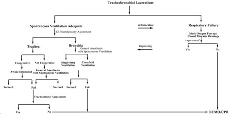 The Proposed Difficult Airway Algorithm In Patients With Download Scientific Diagram