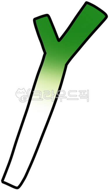 파 대파 쪽파 파일러스트 쪽파일러스트 사진이미지일러스트캘리그라피 Mongrong작가