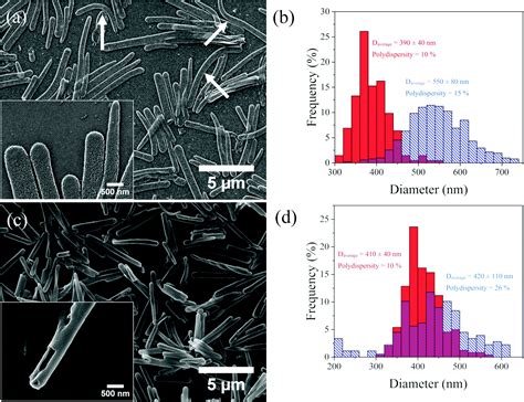 Hollow Polymer Microrods Of Tunable Flexibility From Dense Amphiphilic Block Copolymer Brushes