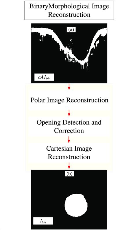 Binary Morphological Reconstruction Blocks A Ca1 Bin The Binary Download Scientific