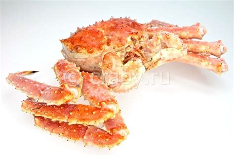 Камчатский краб