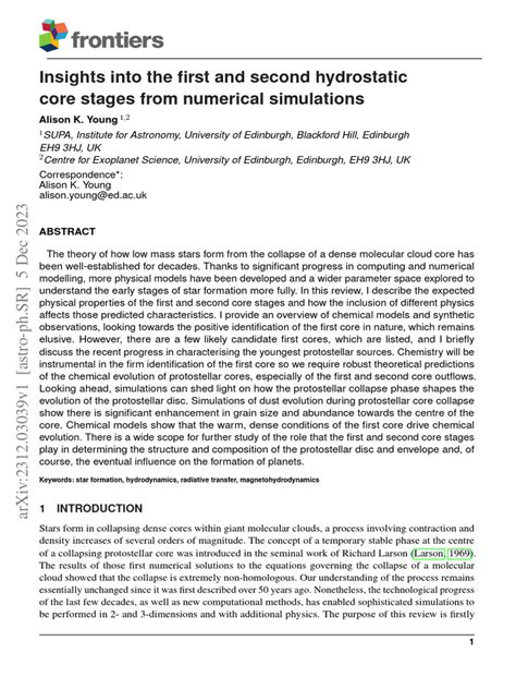 2023 Young Insights Into The First And Second Hydrostatic Core Stages From Numerical
