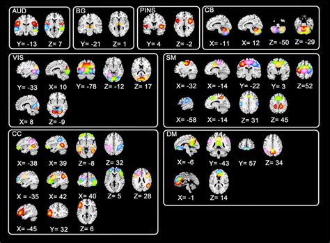 Spatial Distributions Of Non Artificial Intrinsic Connectivity