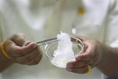 What Neanderthal Bones Reveal About Their Sex Lives Sapiens