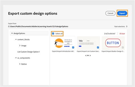 Export Custom Design Options In Adobe Captivate