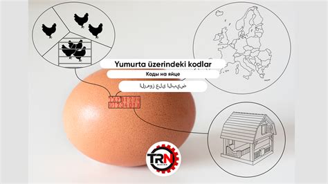 What Do The Codes On The Egg Mean Trn Makina Viol Machine Viol