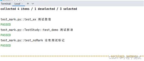 Pytest系列 使用自定义标记mark（6）pytest 的 自定义标签 Csdn博客