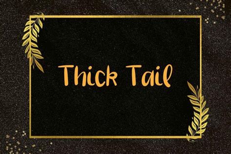 Thick Tail Font Dfonts