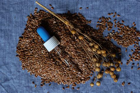 파란색 린넨 캔버스 배경에 아마씨와 씨앗 꼬투리 천연 오일용 유리 스포이드 피펫 0명에 대한 스톡 사진 및 기타 이미지 0명 갈색 건강한 식생활 Istock