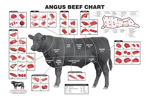 Beef Cuts Chart And Diagram With Photos Names Recipes 55 Off