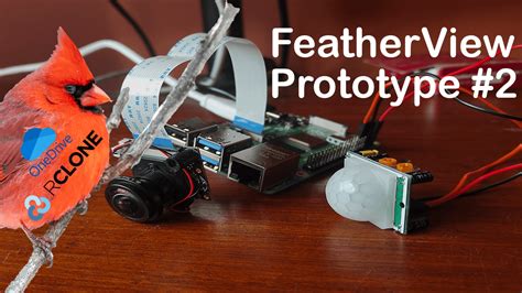 Iot Bird Camera Can I Get Some Feedback R Birdwatchinguk