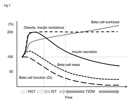 Chronological Change In Functional Beta Cell Mass In Relation To Beta Download Scientific