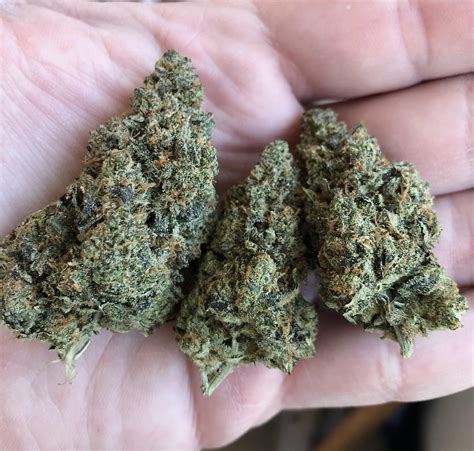 66 Best Hemp Hop Images On Pholder Hempflowers Cb Dhemp Buds And Cbd