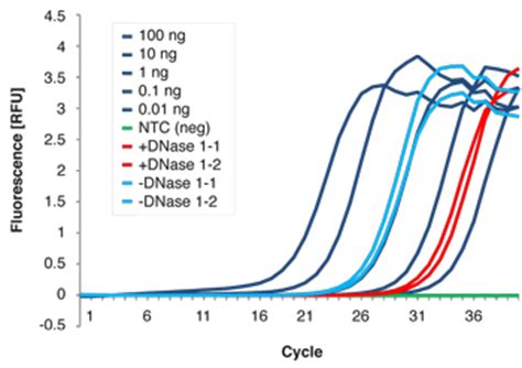 NucleoSpin RNA Blood