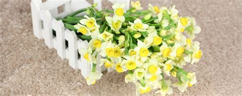 水仙花 花百科