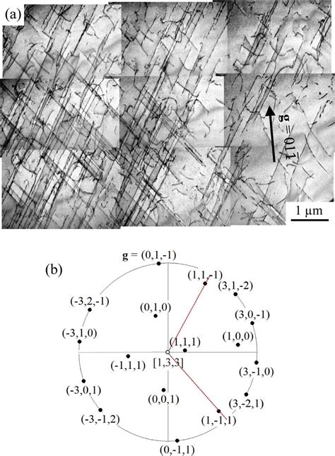 A Tem Bright Field Micrographs Of The Dislocation Substructure Within