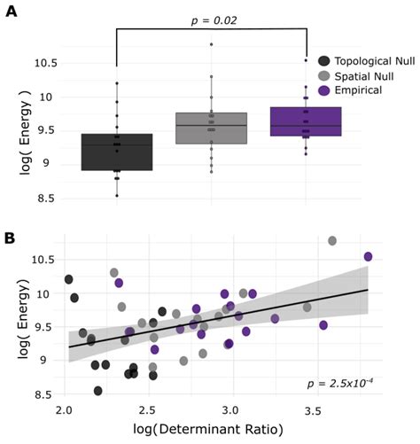 Topological And Spatial Constraints On The Energy Required For Download Scientific Diagram