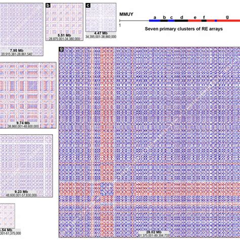 Structural Details Of Clusters Formed With Diverse Res And Re Arrays