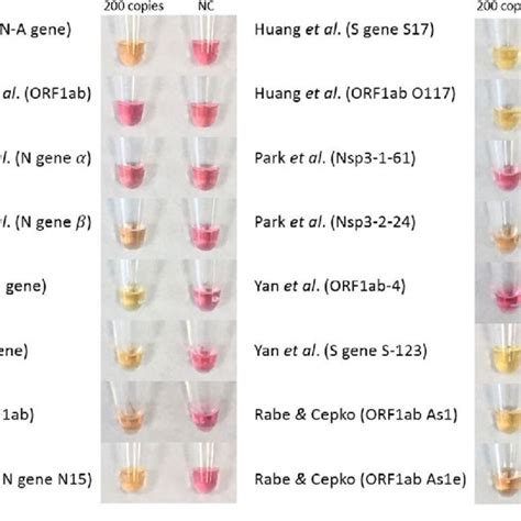 First Screening Of The 16 Published Rt Lamp Primer Mixes Using 200