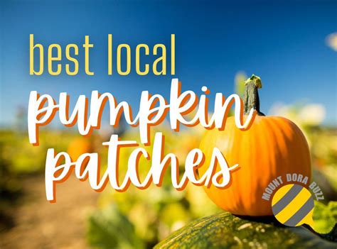 Floridas Favorite Corn Maze Returns To Mount Dora Beginning October 1