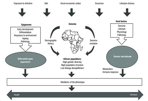 A Complex Set Of Interdependent And Parallel Processes That Govern A Complex Set Of Interdependent And Parallel Processes That Govern