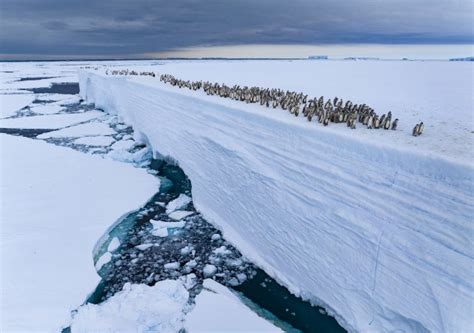 Wildlife Photographer Of The Year Shares Stunning Shortlisted Shots
