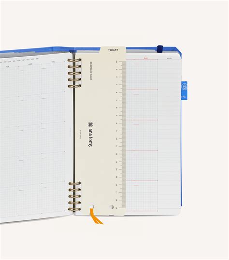 Celebrating Individualitybrindha Kumar Ana Tomy